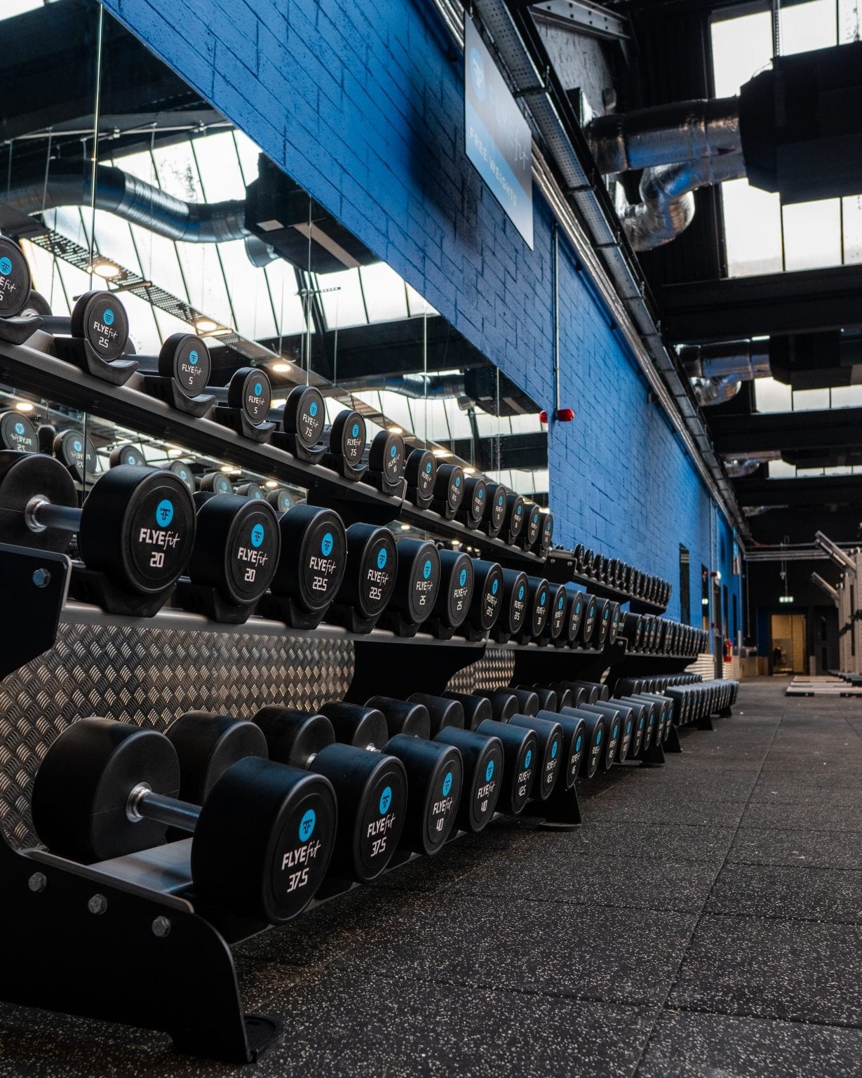 Ion munteanu - FLYEfit