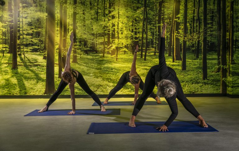 Sandyford - FLYEfit